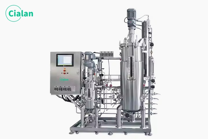 Pilot Scale Fermenter