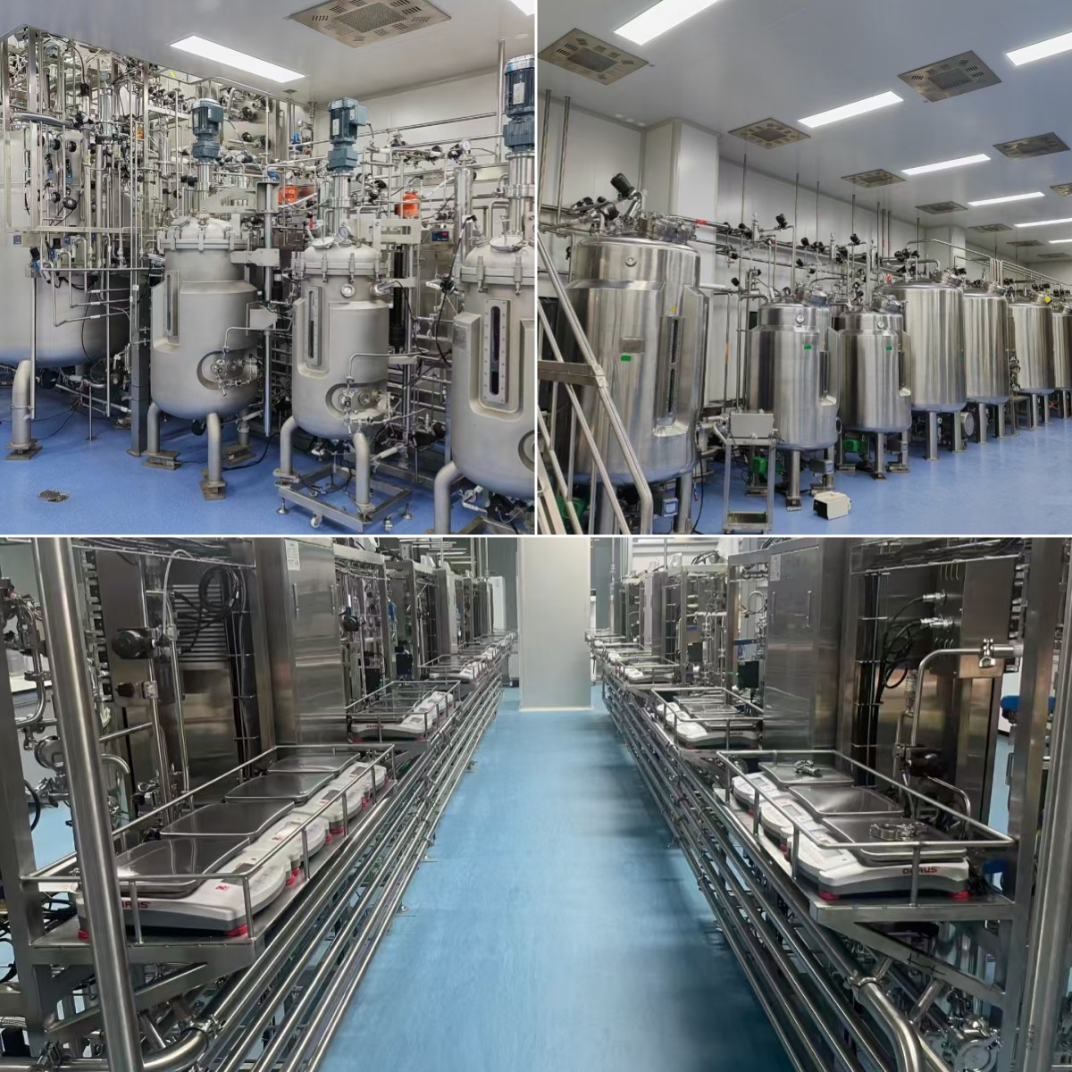 Solid State Fermentor