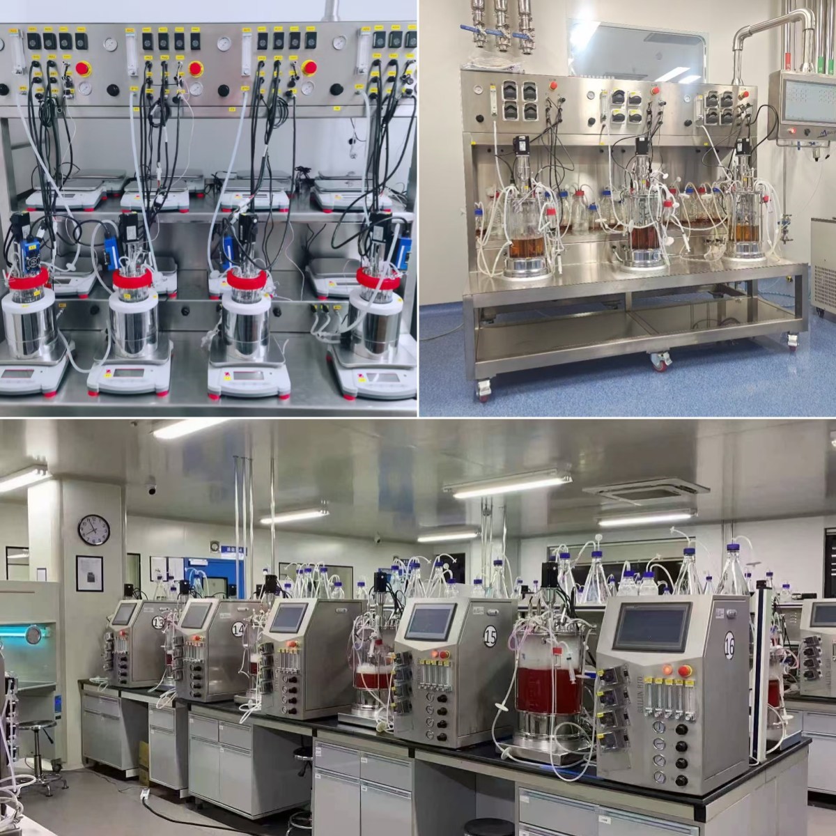 Solid State Fermentor