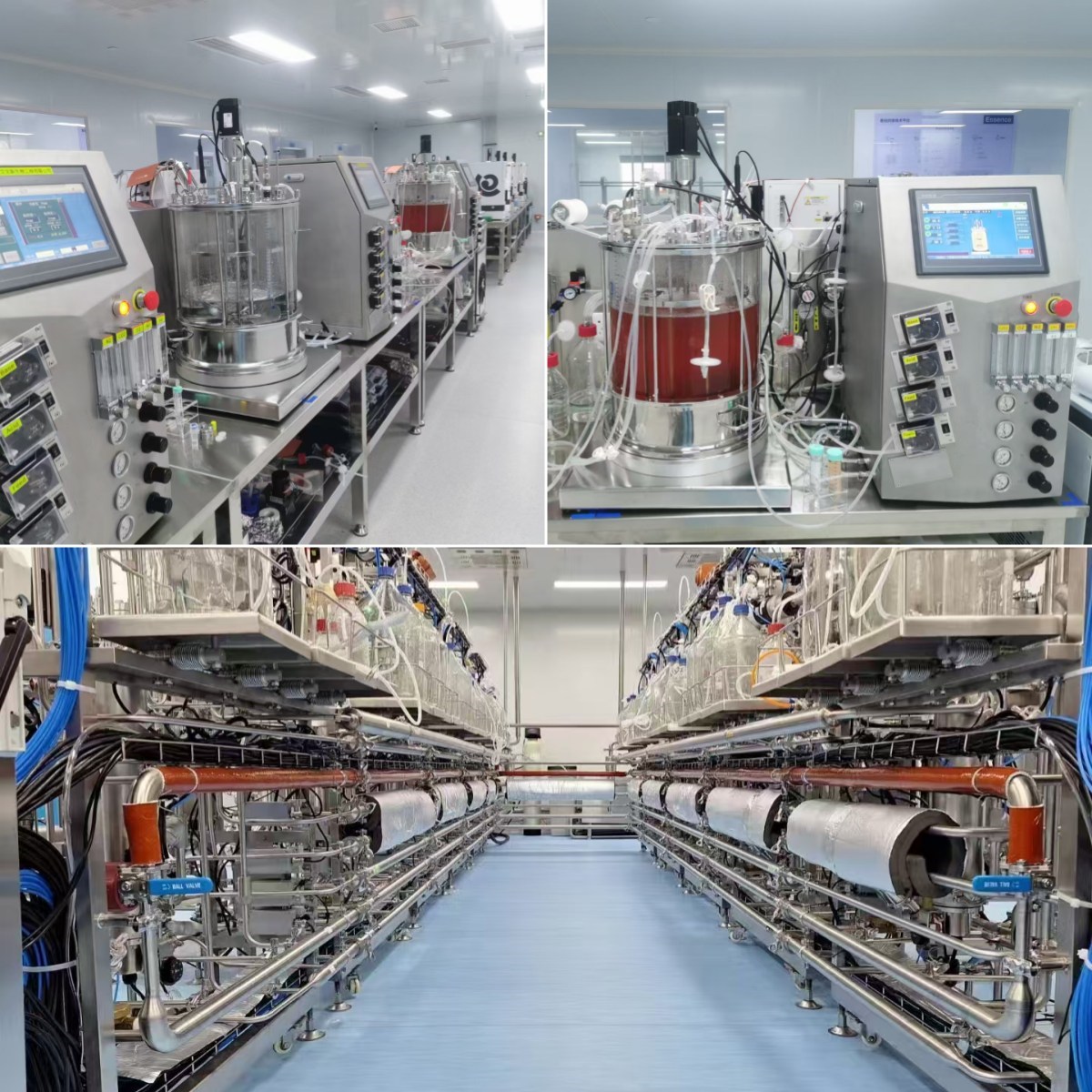 Solid State Fermentor