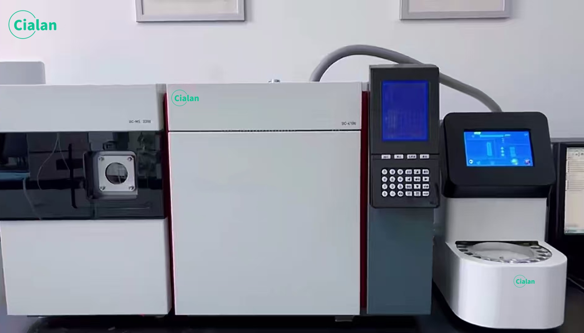 gc ms chromatography