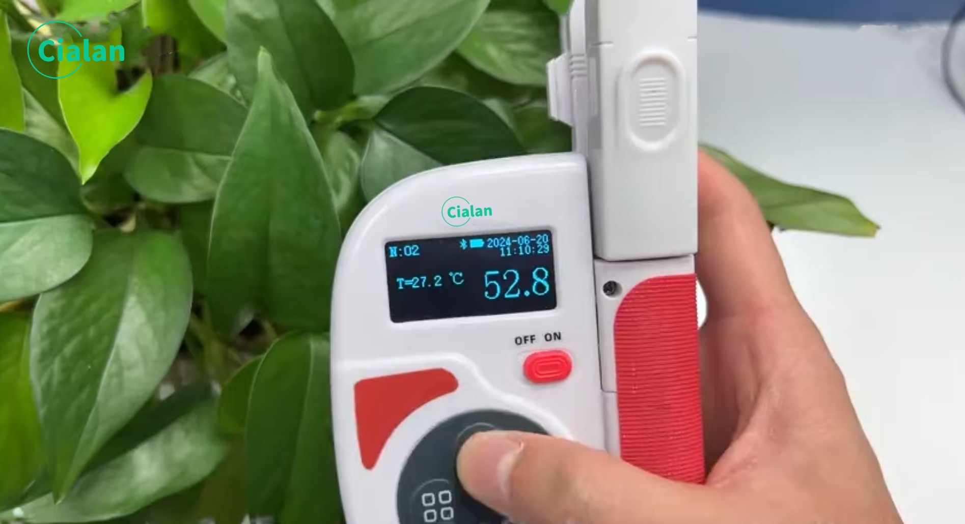 chlorophyll meter